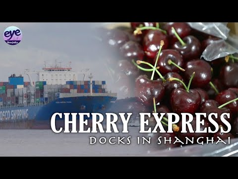 23-day for 20,000KM! \