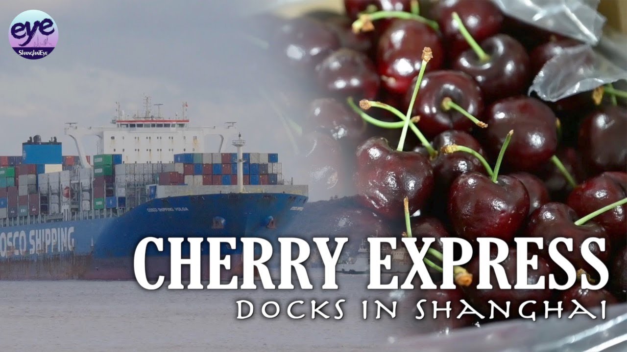 23-day for 20,000KM! "Cherry Express" from Chile to Shanghai to amply ...