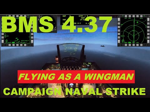 BMS 4.37 Campaign (Wingman) Strike - Foca Naval Base - YouTube