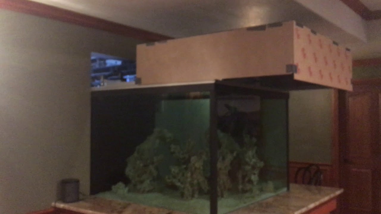 Aquarium Hood Automation 1 - YouTube