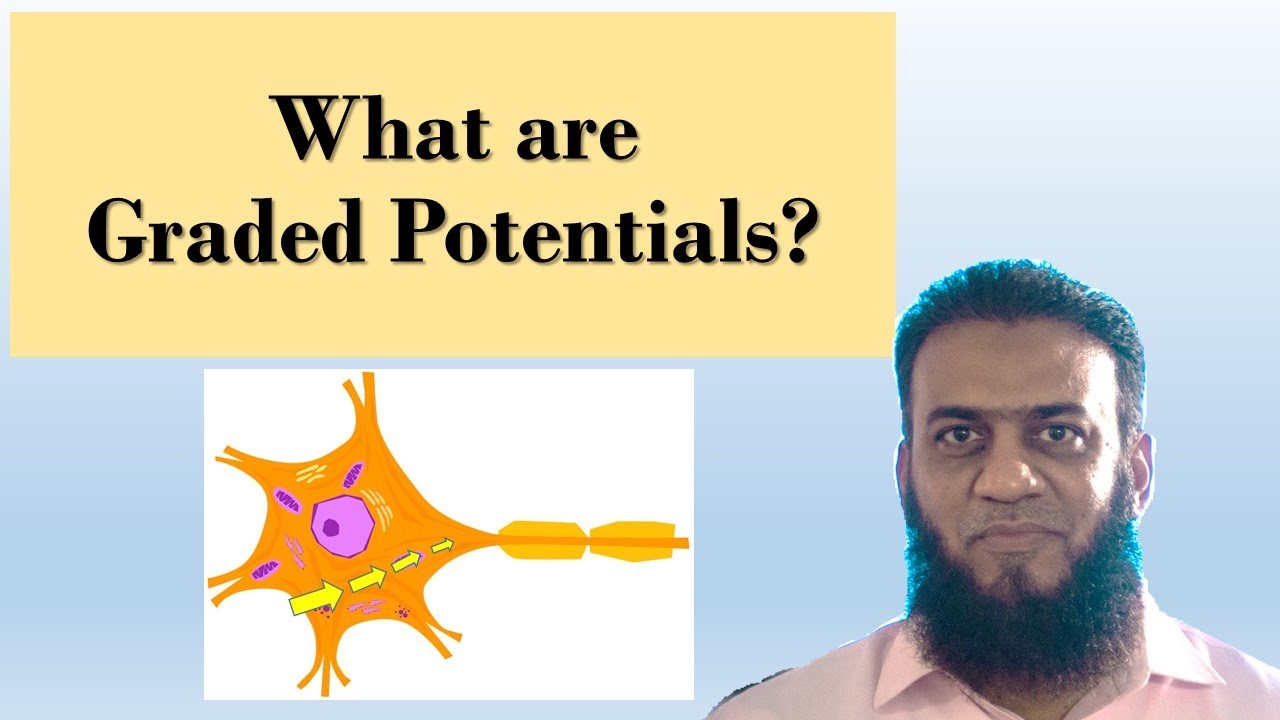 Graded Potentials - YouTube