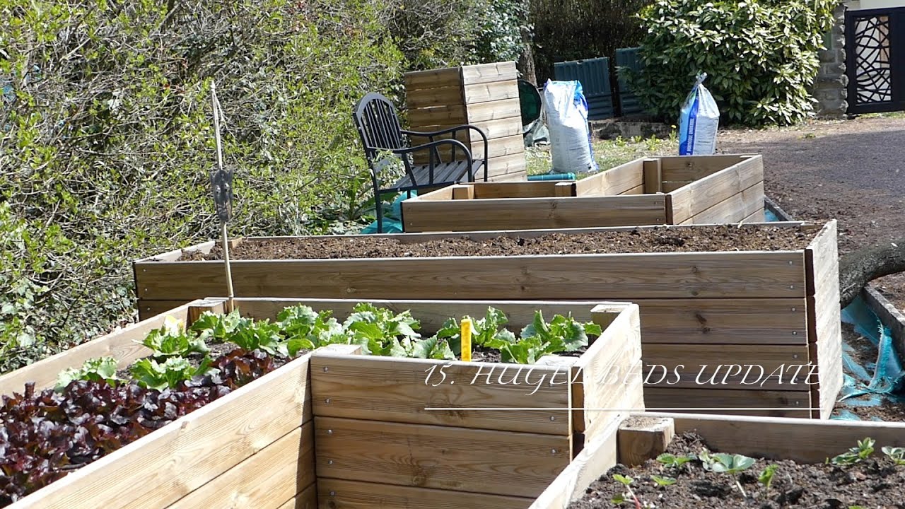 15. Hugel Beds Update - YouTube