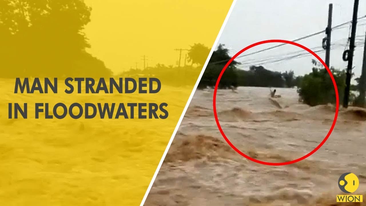 Man found stranded in raging floodwaters after typhoon tears across ...