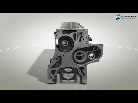 EL CÁRTER : PARTES QUE LO CONFORMAN