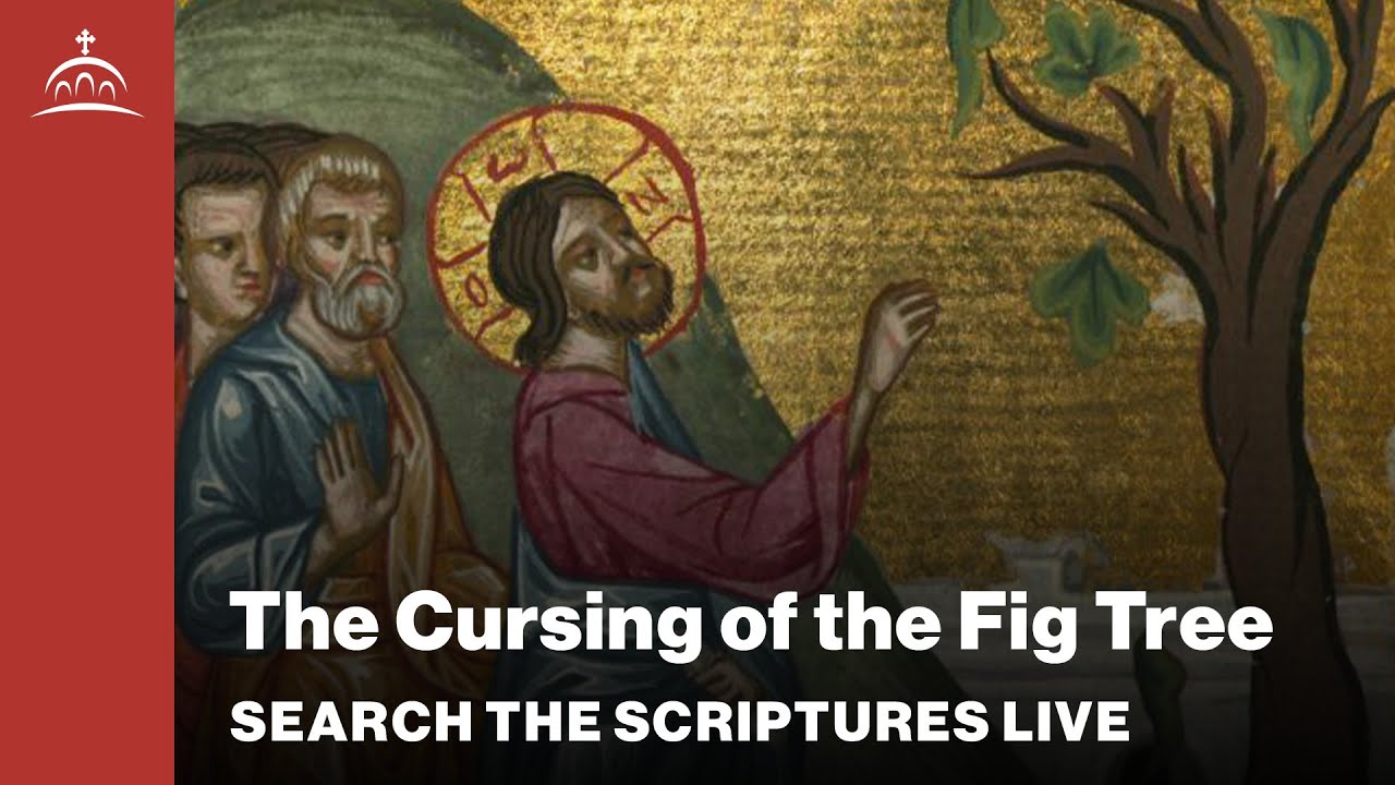 Search the Scriptures Live - The Cursing of the Fig Tree (w/ Dr ...