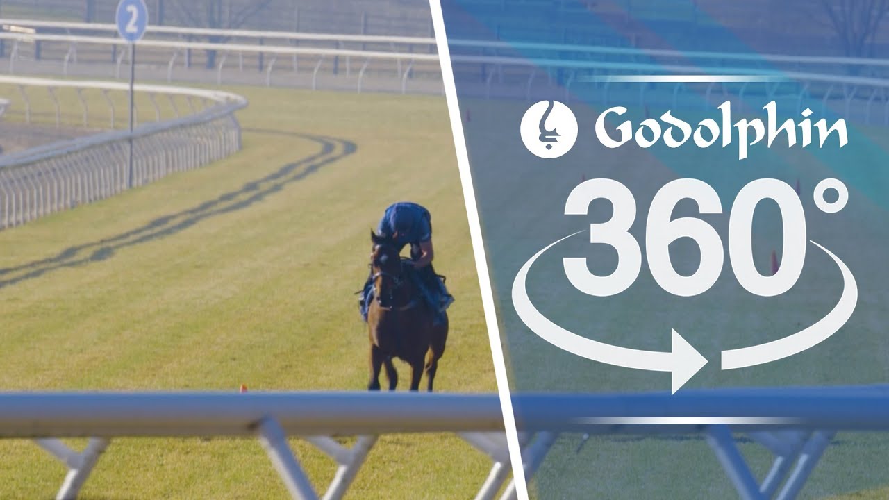 Experience the Godolphin stables in 360° - YouTube