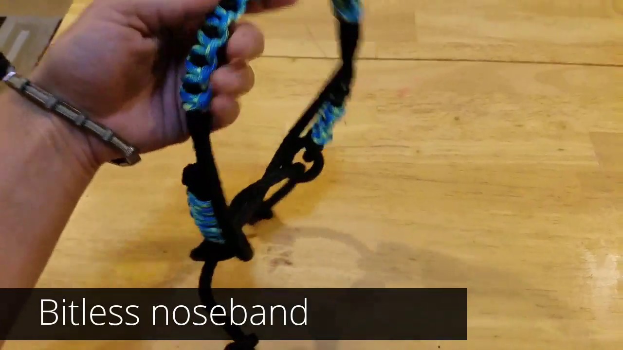 New Bitless bridle design - Adding a bitless nosepiece to a Western ...