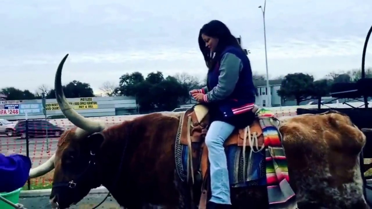 Riding A Real Bull - YouTube