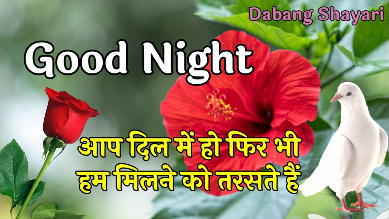 आप दिल में हो फिर भी हम मिलने को तरसते हैं - Good Night Shayari - Good ...
