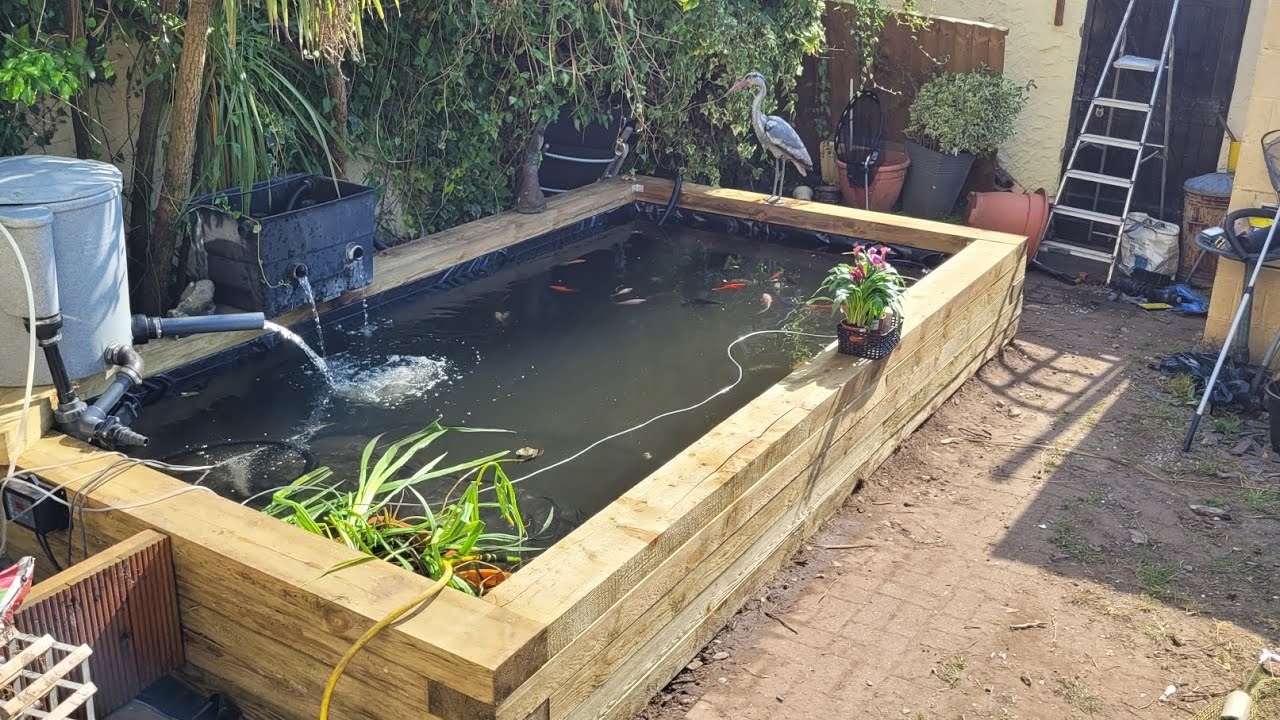 " Restoring a 40 year old Pond, Epic Fish Discoveries, and Full Sleeper ...
