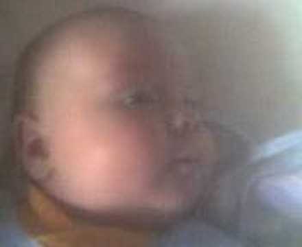 mindresti telenesti bambino che parla - YouTube