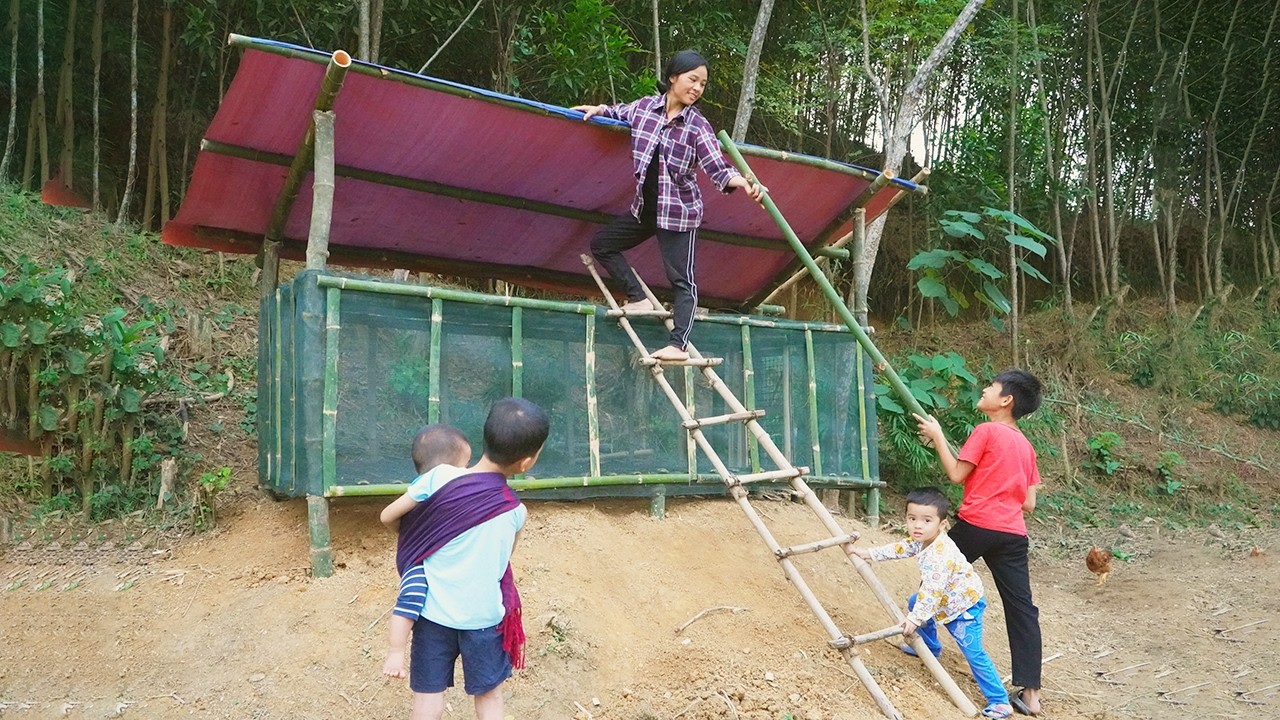 Single Mother of 4 Rebuilds Farm in 7 Days | Daily Life: DIY Chicken ...