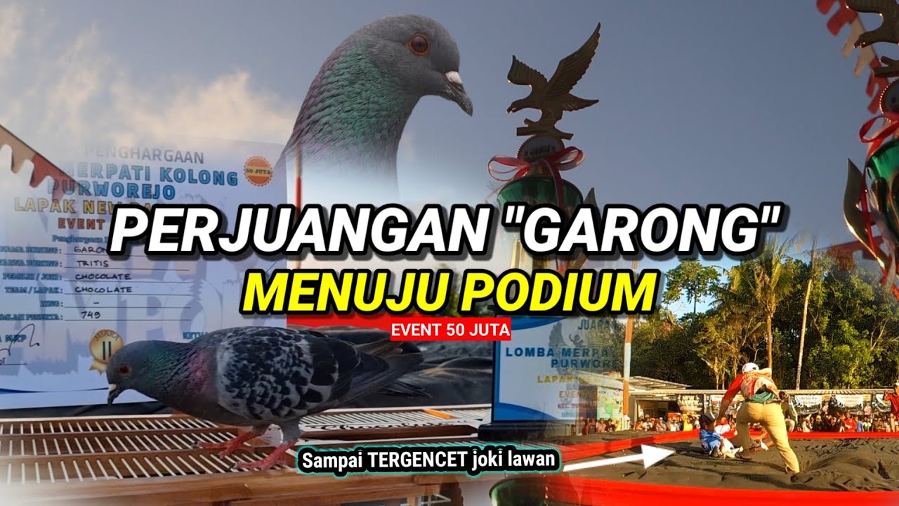 MERPATI GARONG TEAM NEW RAMPOK PODIUM EVENT 50 JUTA. - YouTube