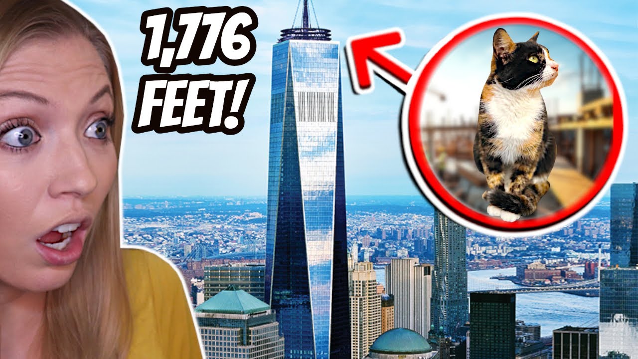 I RESCUED My Cat From The World's TALLEST Building! - YouTube