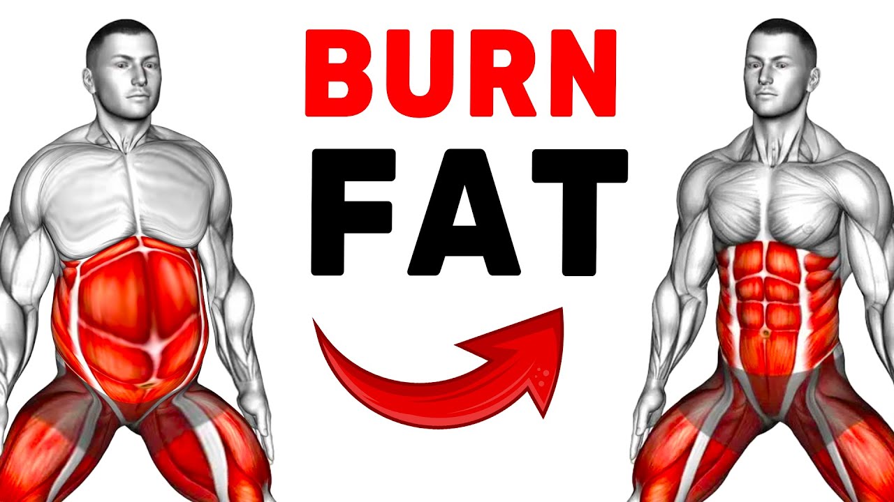 💥 Total Body Transformation | Burn Fat & Lose Weight with This Workout ...
