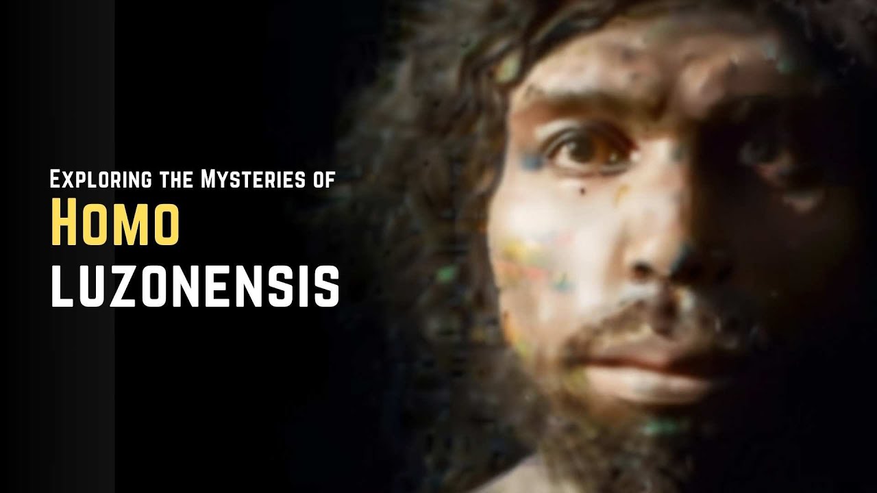 Exploring the Mysteries of Homo luzonensis | Human Evolution | Ancient ...