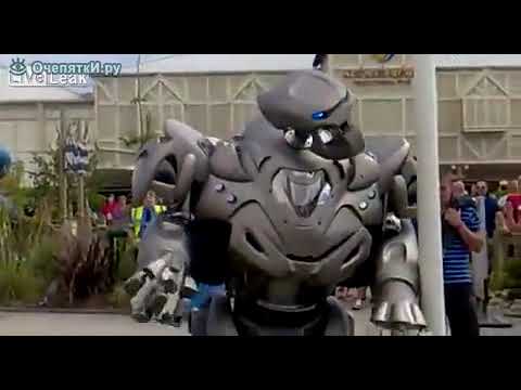 The drunk wanted to offend the robot. fanny :) zzzzz:) - YouTube