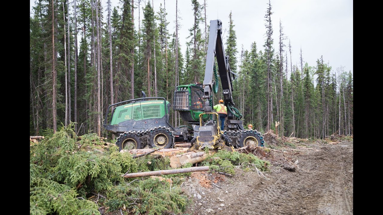 Lo-Bar Commercial Thinning Trial - YouTube