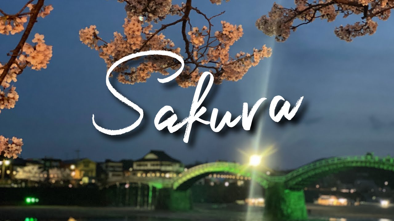Kintai Bridge Cherry Blossoms (Sakura) | Iwakuni, Japan - YouTube