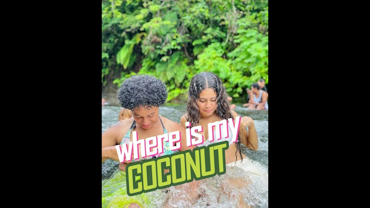 ArieRemixer Ft Planet Loco Where Is My Coconut Remix 2024 YouTube ArieRemixer Ft Planet Loco Where Is My Coconut Remix 2024 YouTube