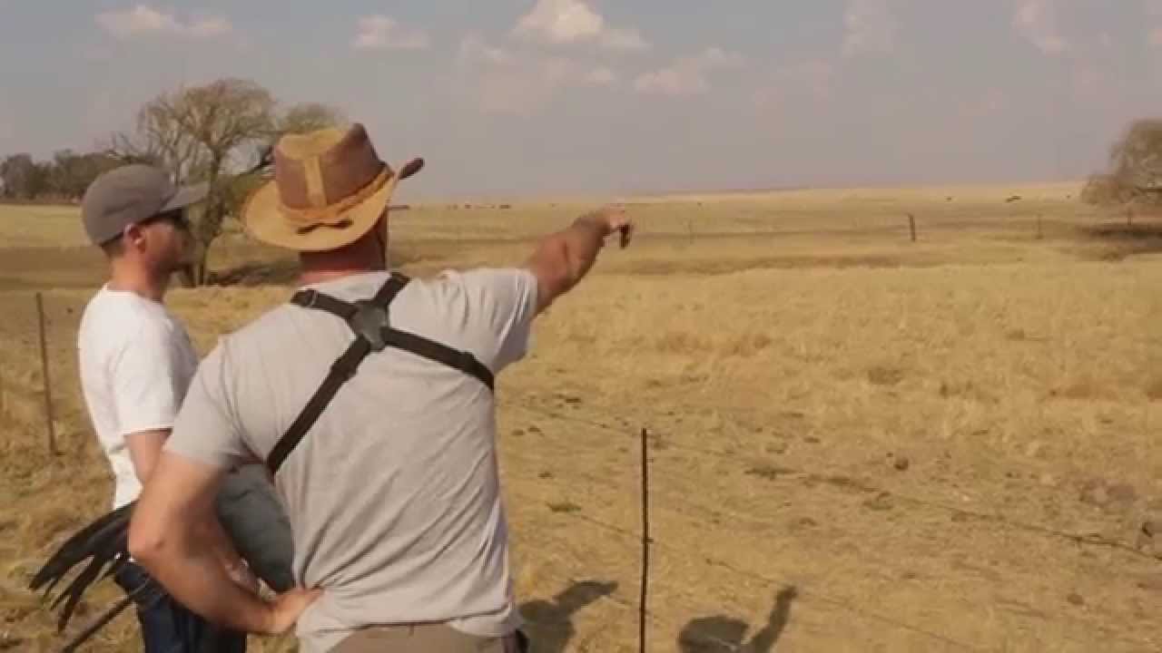 BirdLasser - Play a part - YouTube