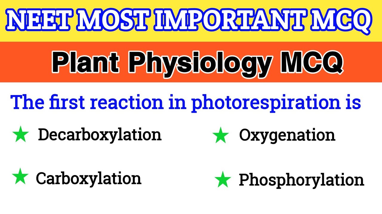 Plant Physiology Class 11 MCQ || Plant Physiology MCQ for NEET 2026 ...