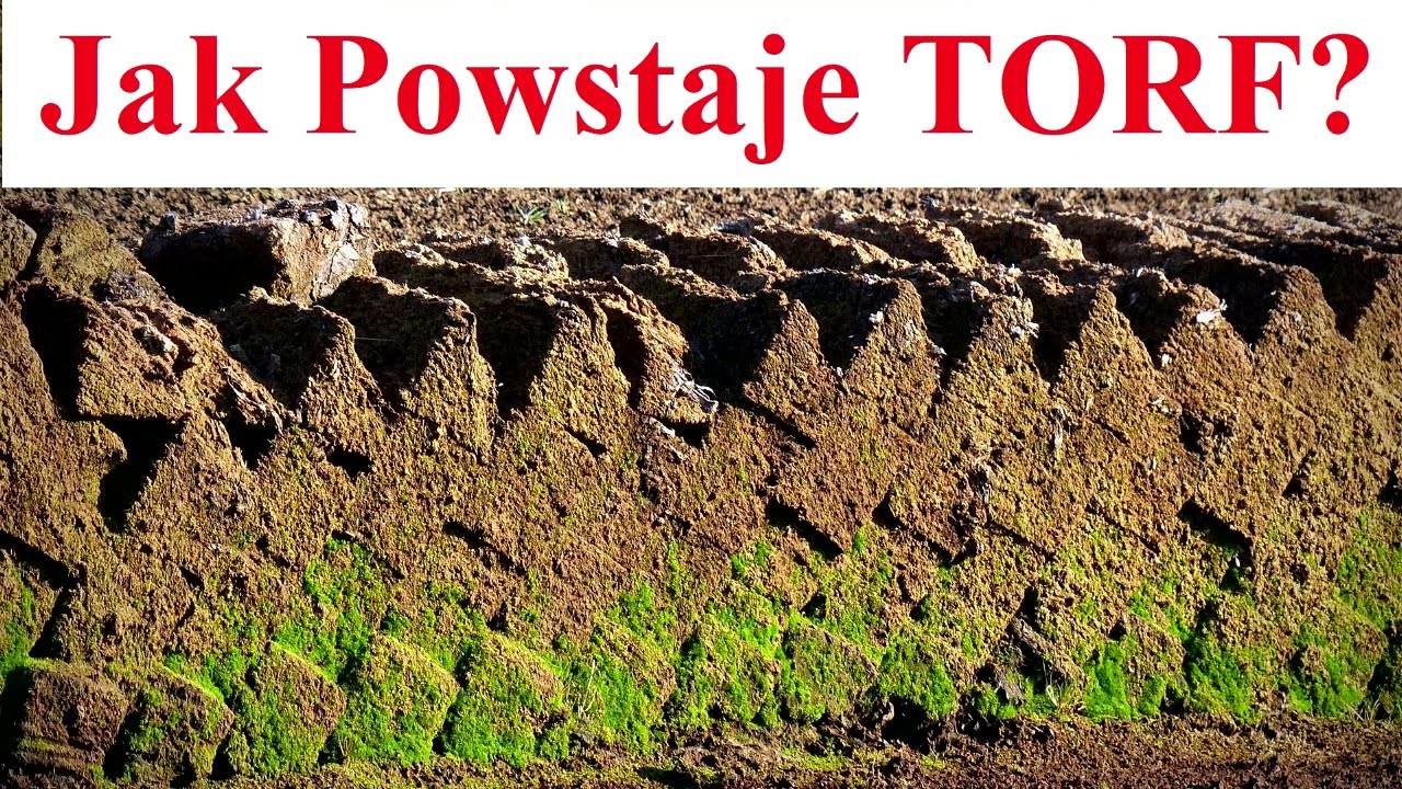 Jak Powstaje TORF - YouTube