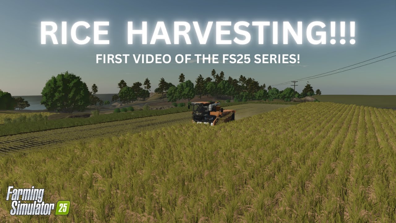 RICE HARVESTING FIRST VIDEO OF THE FS25 SERIES!! - YouTube