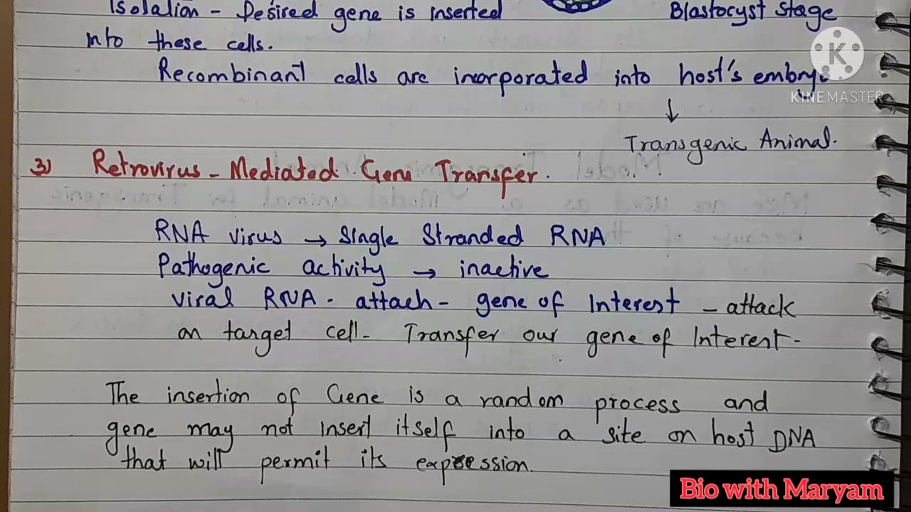 Transgenic Model Animal/Methods of Gene transformation in Animals ...