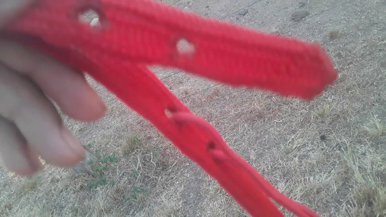 Como fazer uma rede aberta - YouTube