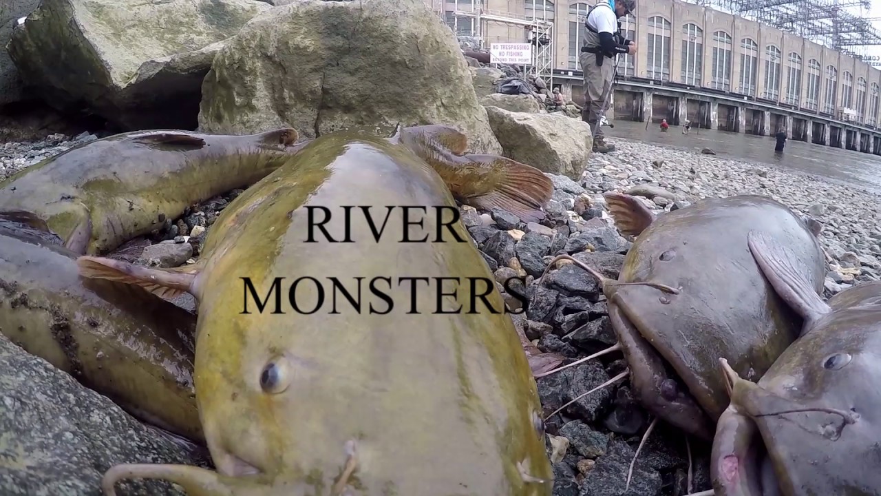 CONOWINGO DAM FISHING, FIRST SMALL MOUTH BASS - YouTube