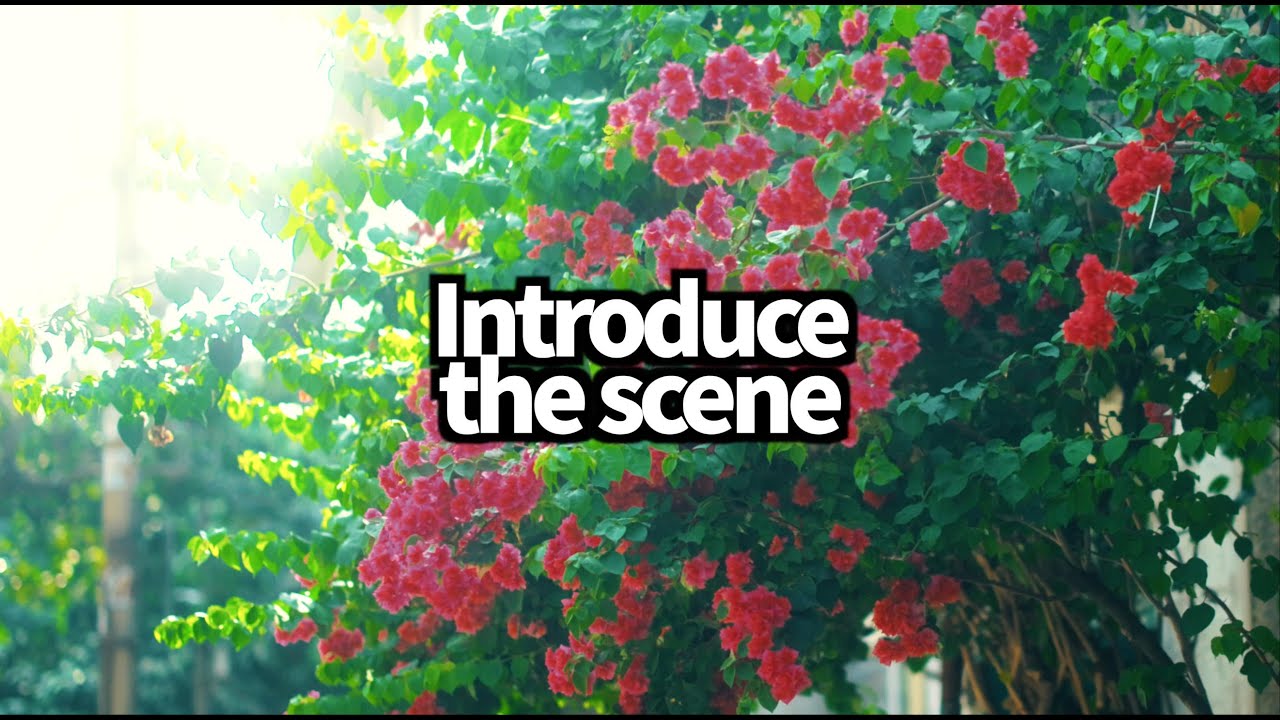 Introduce the scene｜介绍场景 - YouTube