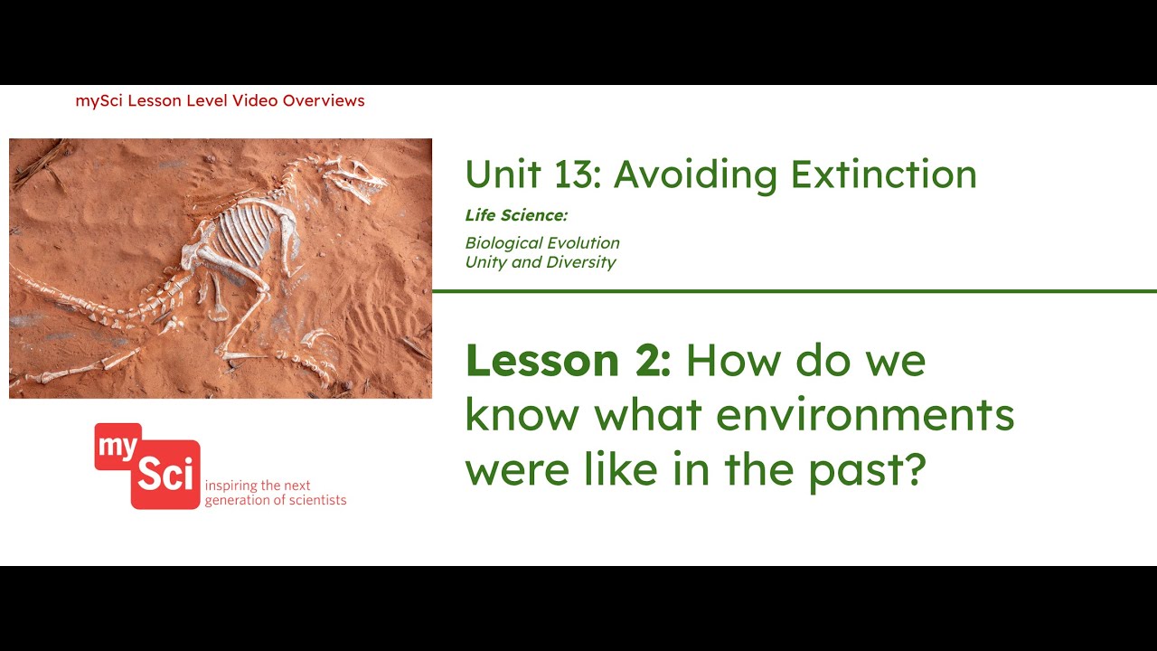 Unit 13 Lesson 2 Video - YouTube
