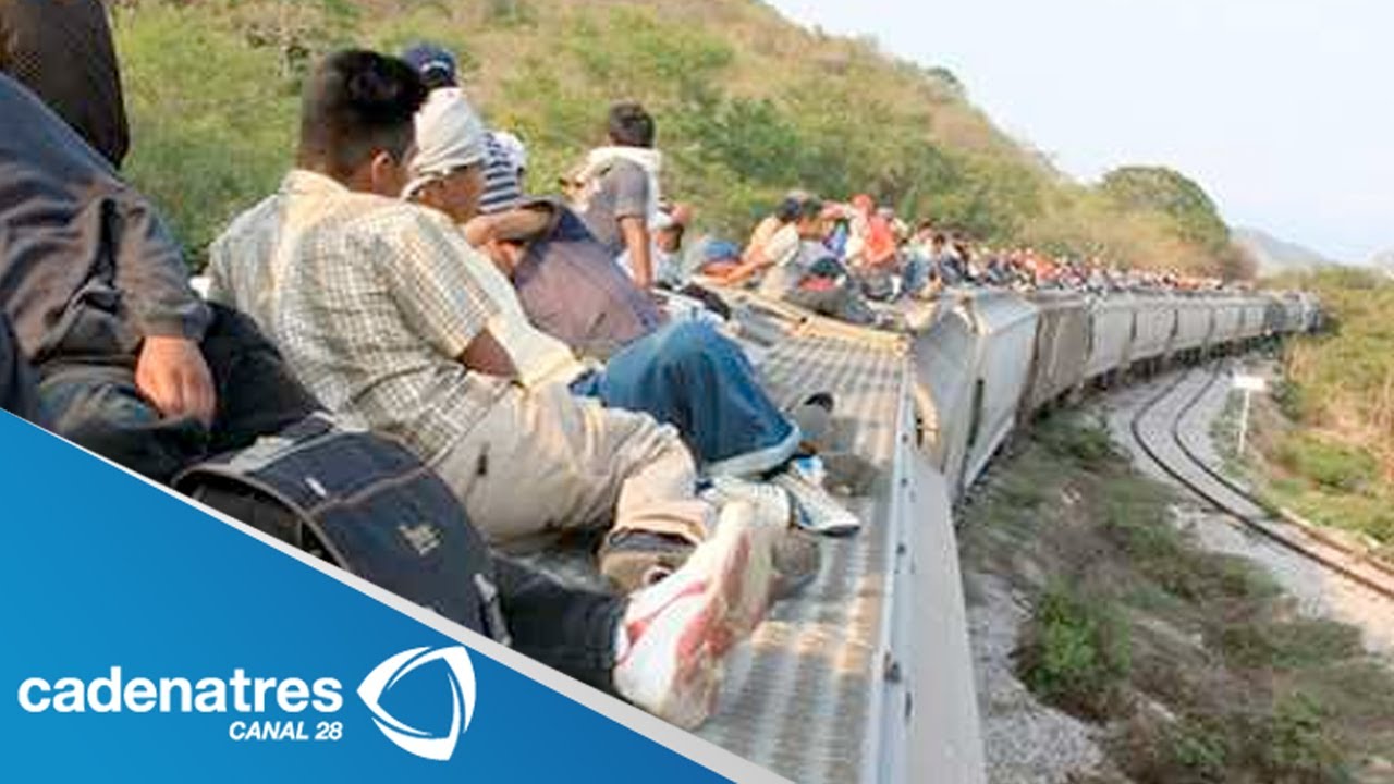 Migrantes arriesgan su vida viajando en la 'Bestia' para poder llegar a ...
