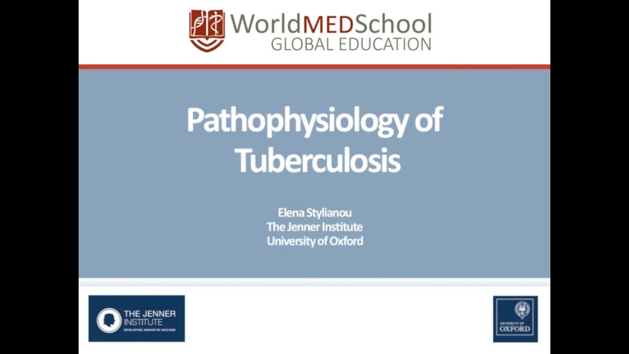 Pathophysiology of Tuberculosis by Elena Stylianou, Oxford University ...