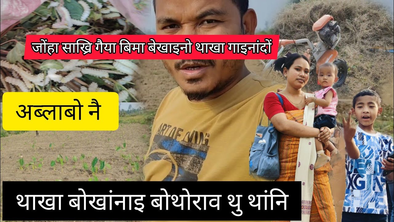 Jwngha sakri gwiya bima//नाथाइ बाथ्राया सिंआव हाब्लासो//Dinwi wrwibadi ...