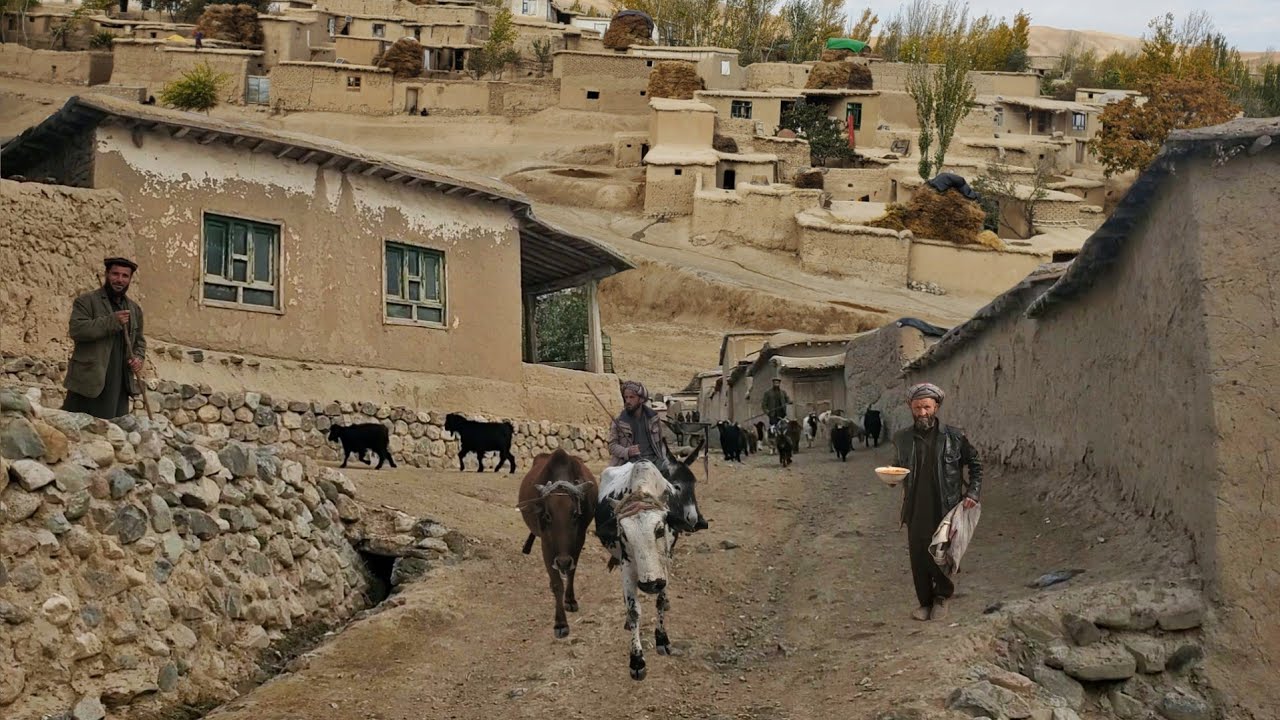 Beautiful life in village || Village life in Afghanistan || Toot ...