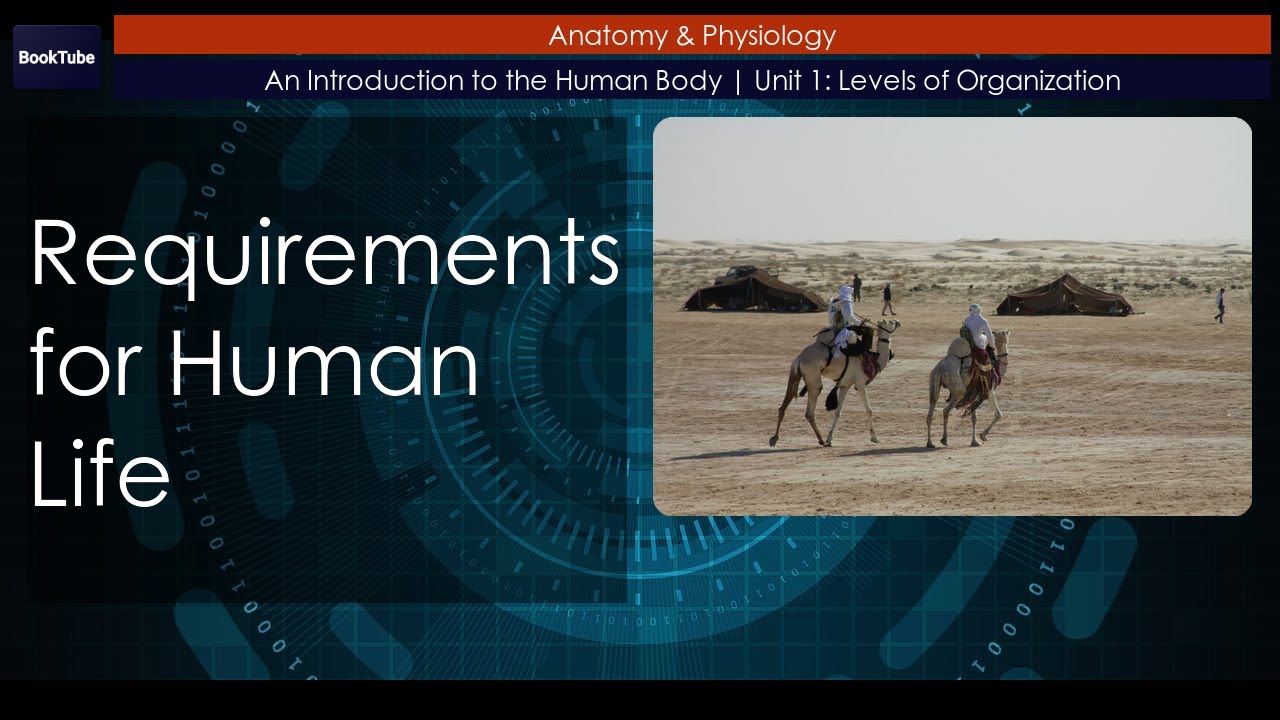 Requirements for Human Life | An Introduction to the Human Body | Unit ...