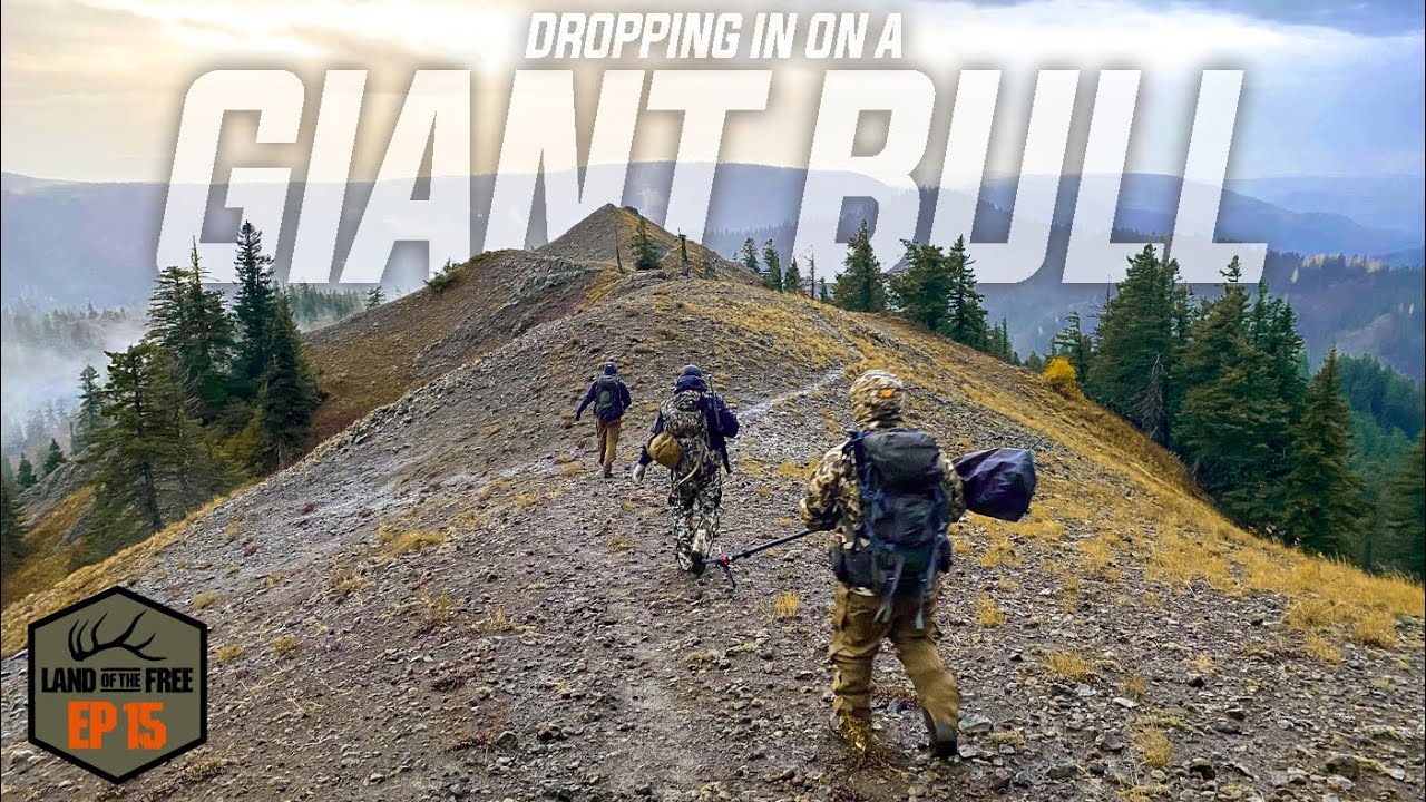 We found a GIANT BULL.... LOF 4.0 EP 15 - YouTube