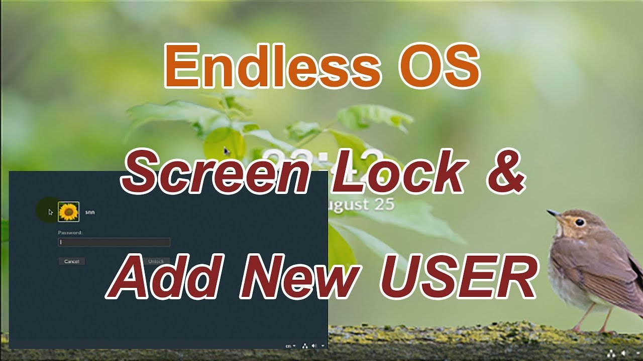 Endless OS : Screen Lock and Add New User - YouTube