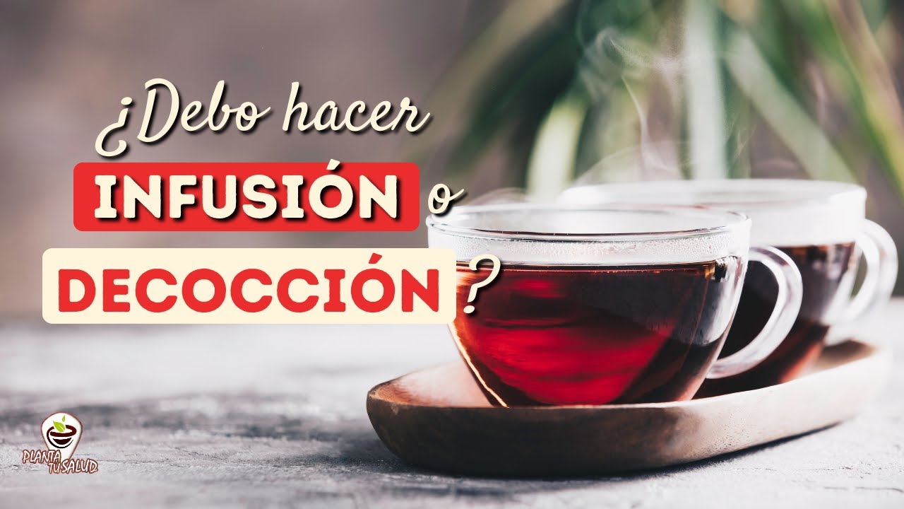 ¿Debo hacer infusión o decocción? - YouTube
