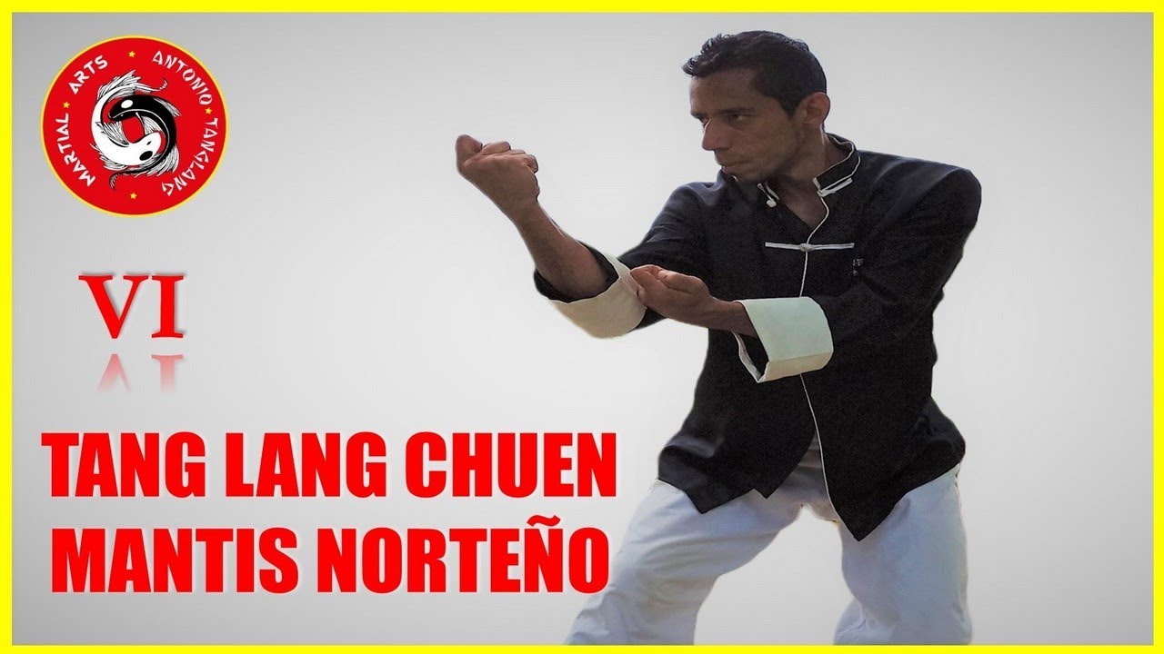 KUNG FU Forma Numero 6 Tang Lang Chuen - Mantis Norteño Vista previa ...