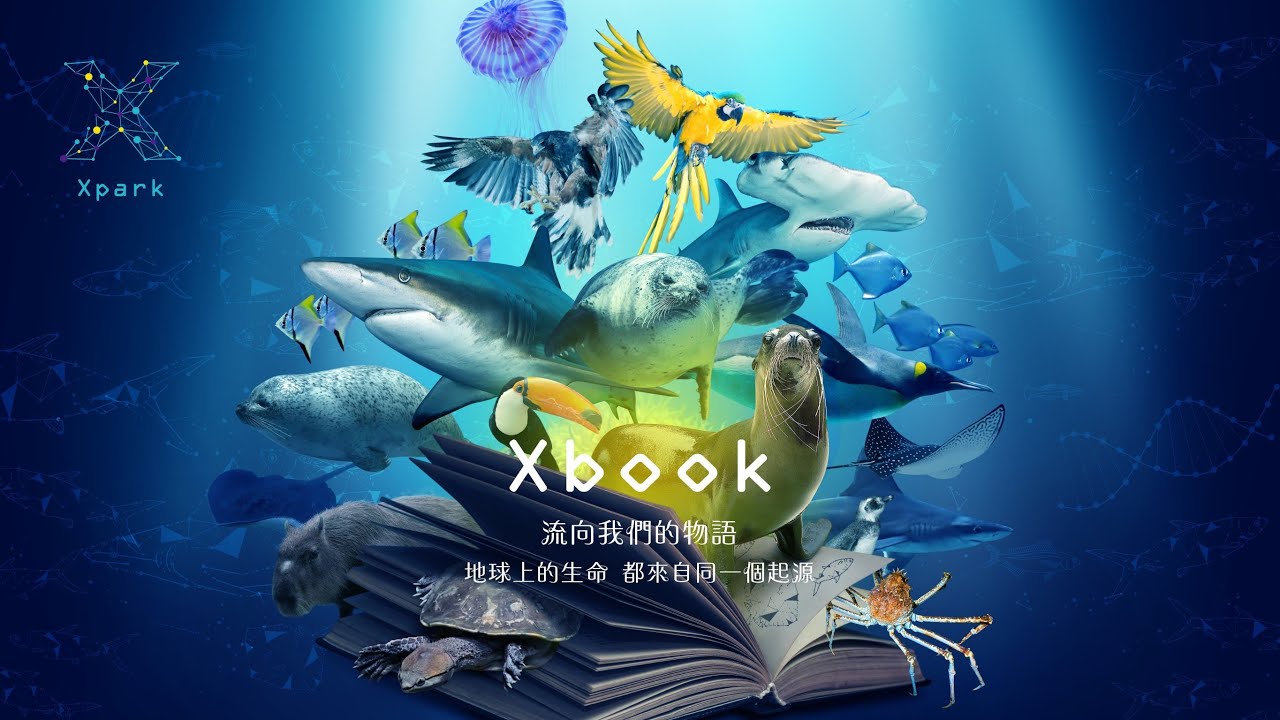 Xpark｜特別企劃『Xbook～流向我們的物語～』，全新的寓教於樂體驗！好評延長至12/31！ - YouTube