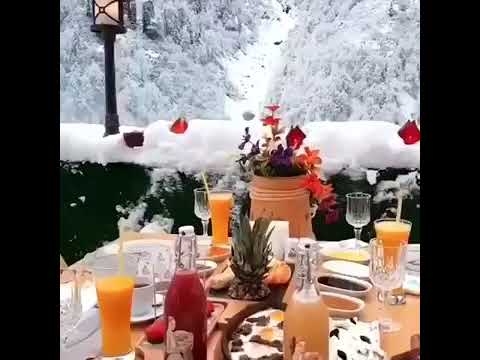 Watsap status ucun video