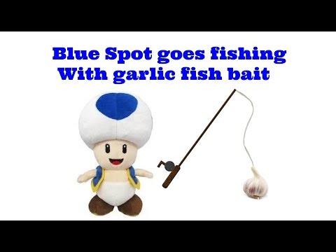 Blue Toad goes fishing with Garlic Fish Bait - YouTube