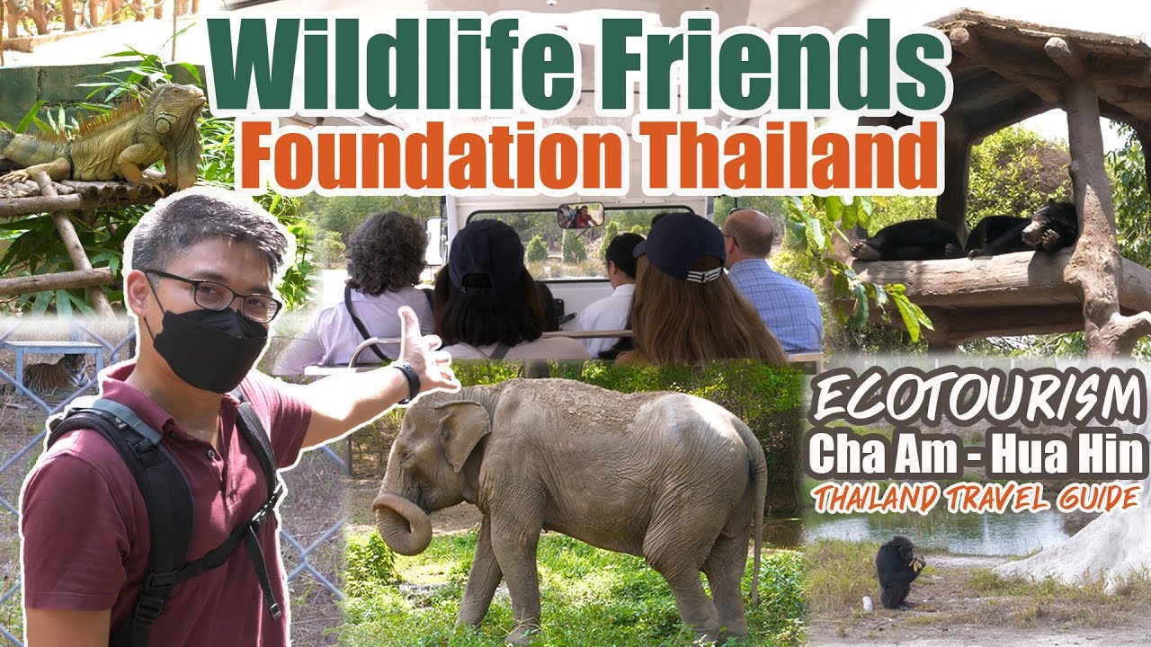 HUA HIN: Meet RESCUED ANIMALS and LEARN their NATURE at WILDLIFE ...