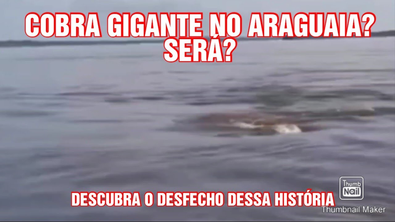 COBRA GIGANTE NO ARAGUAIA? SERÁ? VEJA O DESFECHO DESSA HISTÓRIA QUE ...
