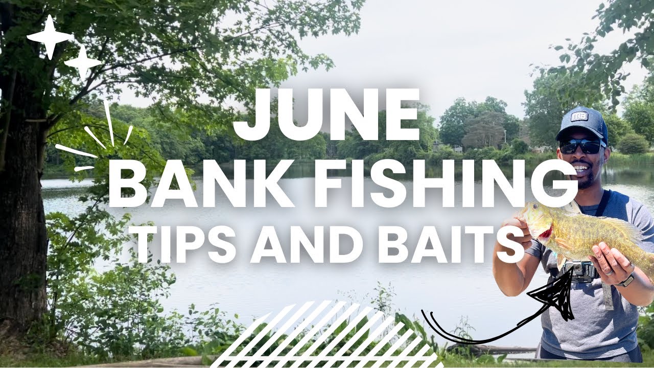 How to Catch Bass in June: Beginner Bank Fishing Tips and Baits - YouTube