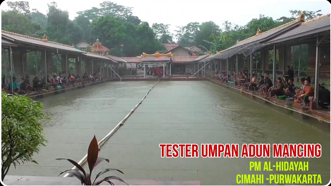 umpan BAM jagung Adun Mancing #mancing #fishing #adunmancing - YouTube