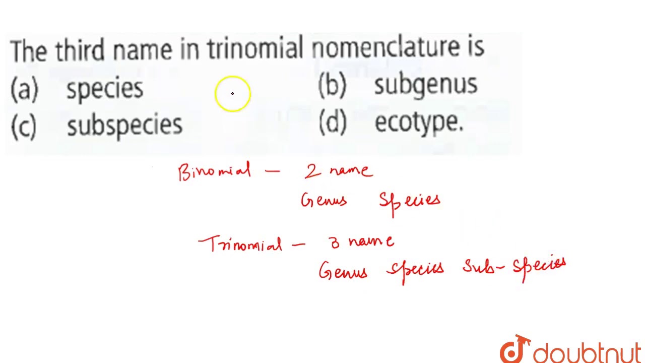 The third name in trinomial nomenclature is - YouTube